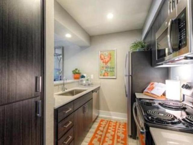 1 Br, 1 bath, Apartment 77 W Coolidge Street
