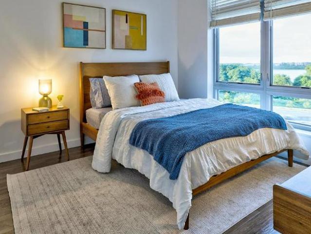 1 Br, 1 bath, Apartment 780 Morrissey Blvd