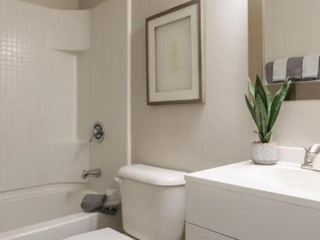 1 Br, 1 bath, Apartment 7900 Rocky Mount Rd