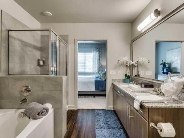 1 Br, 1 bath, Apartment 801 Lake Carolyn Pkwy