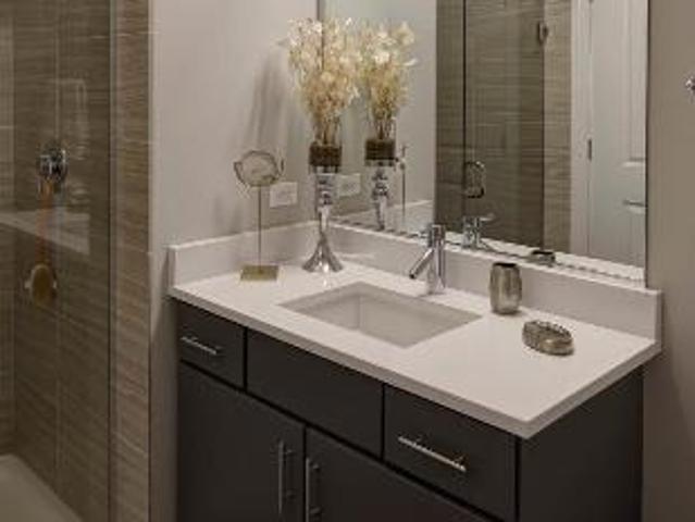 1 Br, 1 bath, Apartment 850 S Clark St