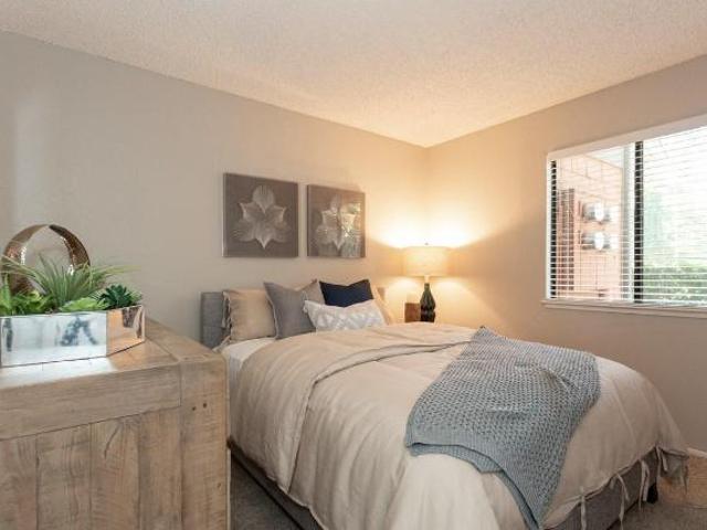 1 Br, 1 bath, Apartment 8719 Woodman Way