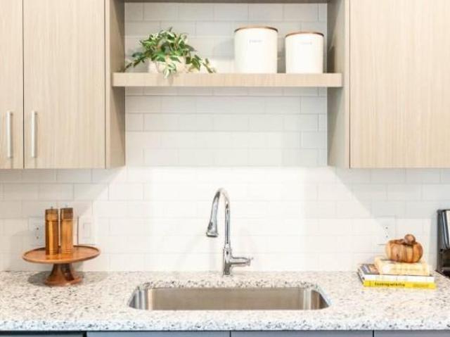 1 Br, 1 bath, Apartment 900 Elm Grove Ave