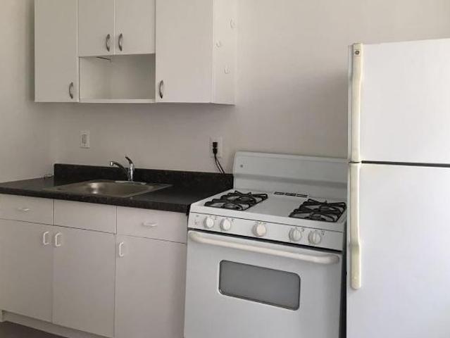 1 Br, 1 bath, Apartment 918 E Hyde Park Blvd