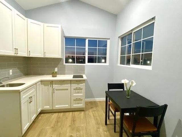 1 BR 1 Bath ApartmentIn_law unit