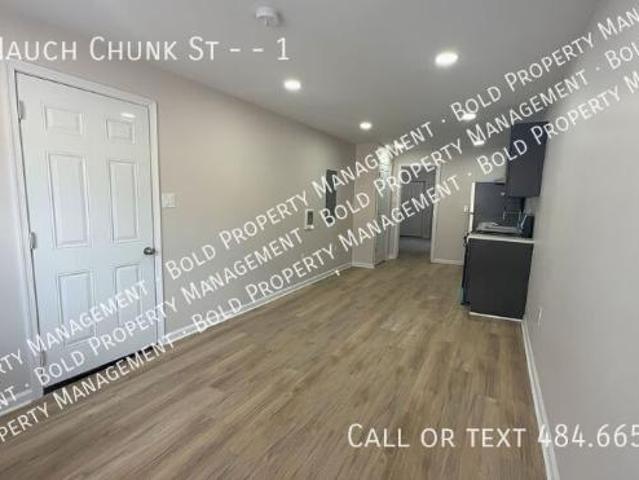 1 Br, 1 bath, Condo 413 Mauch Chunk St