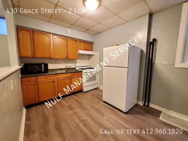 1 Br, 1 bath, Condo 430 Grace Street lower