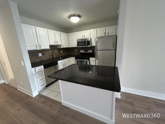 1 Br, 1 bath, Condo 545 N Dearborn St