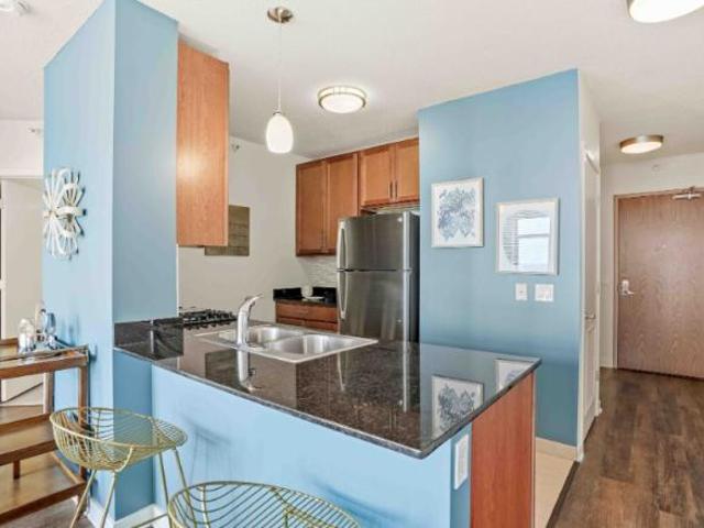 1 Br, 1 bath, Condo 550 W Kinzie St