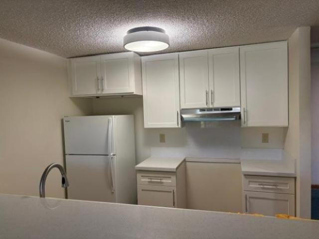 1 Br, 1 bath, Condo 55 S Judd St