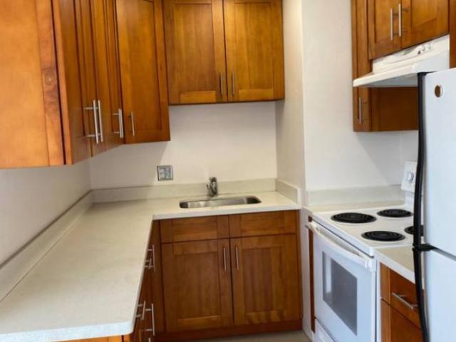 1 Br, 1 bath, Condo 565 8th Avenue