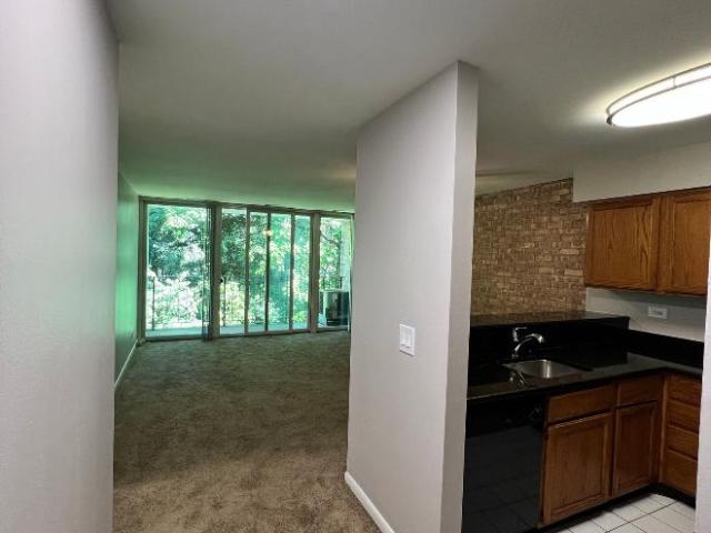 1 Br, 1 bath, Condo 5750 Abbey Dr
