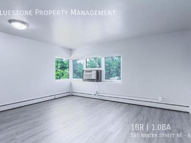 1 Br, 1 bath, Condo 585 Winter Street NE