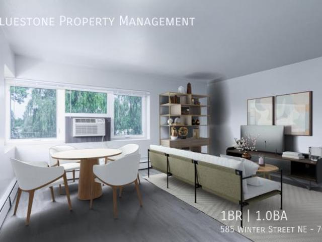 1 Br, 1 bath, Condo 585 Winter Street NE