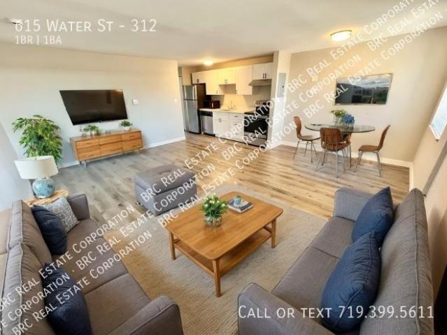 1 Br, 1 bath, Condo 615 Water St