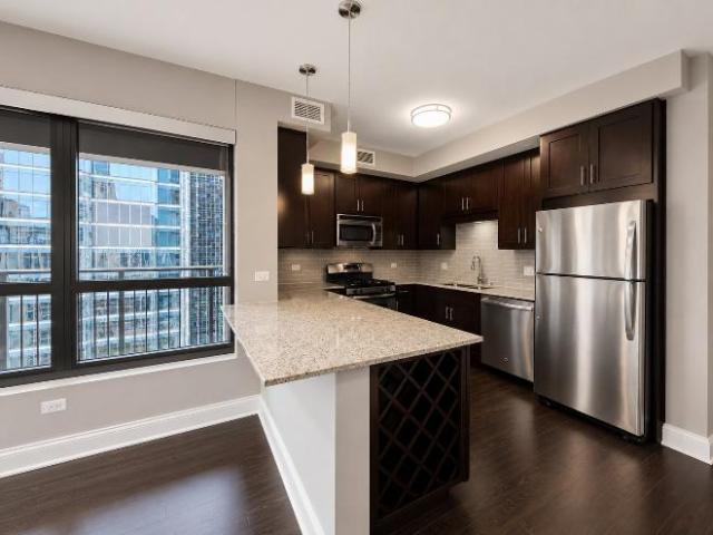 1 Br, 1 bath, Condo 61 W Hubbard