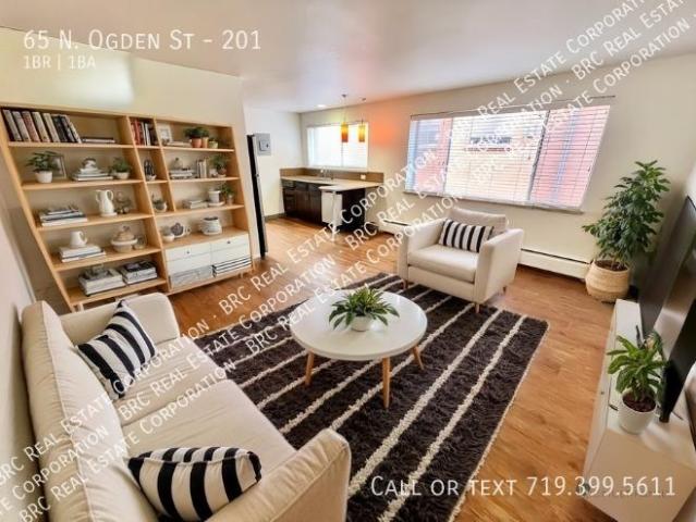 1 Br, 1 bath, Condo 65 N Ogden St