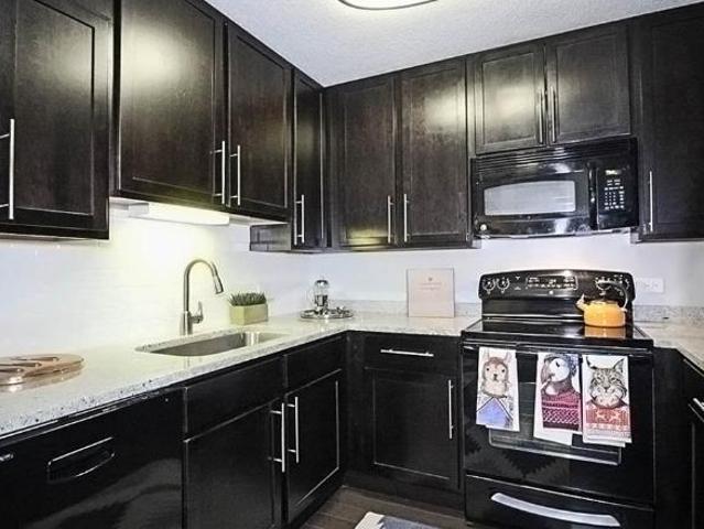 1 Br, 1 bath, Condo 661 North Clark Street