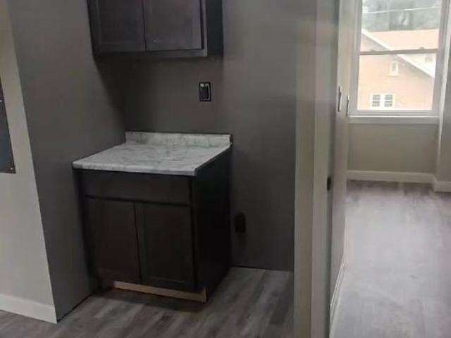 1 Br, 1 bath, Condo 703 W Adams St