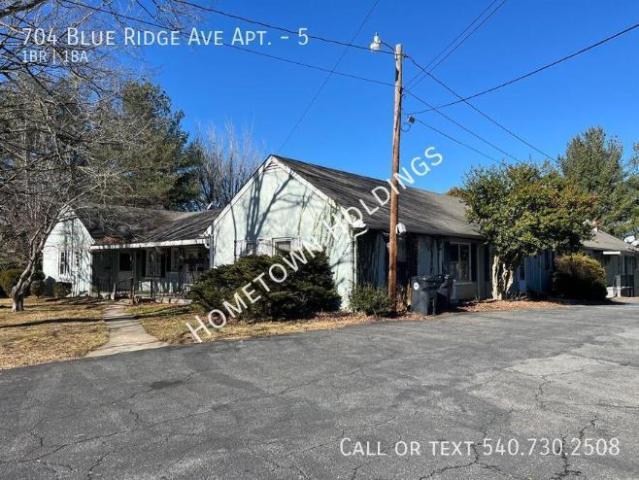 1 Br, 1 bath, Condo 704 Blue Ridge Ave