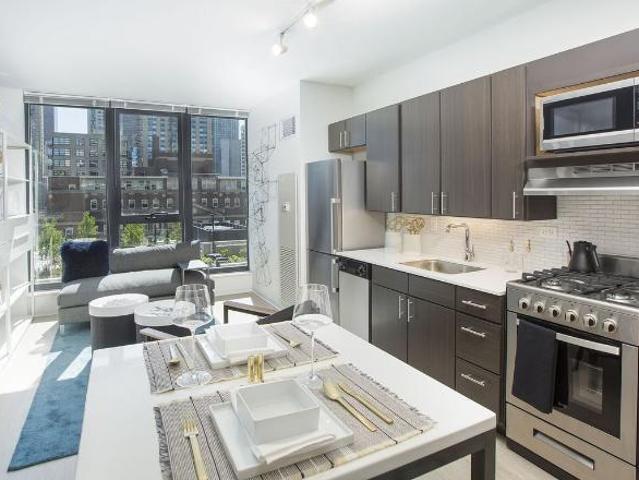1 Br, 1 bath, Condo 729 N Wells St