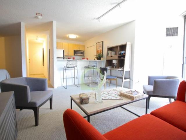 1 Br, 1 bath, Condo 730 N Dearborn St
