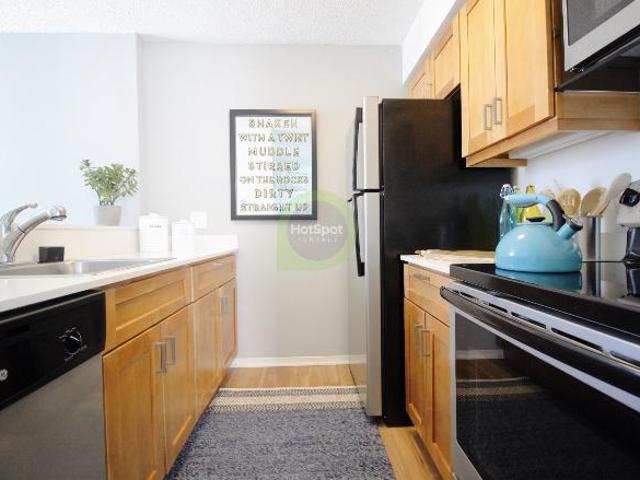 1 Br, 1 bath, Condo 735 N Dearborn