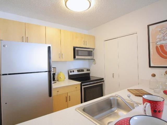 1 Br, 1 bath, Condo 749 North Clark Street