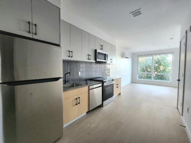 1 Br, 1 bath, Condo 75 Webster St