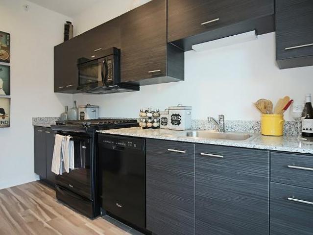 1 Br, 1 bath, Condo 804 N Lasalle St