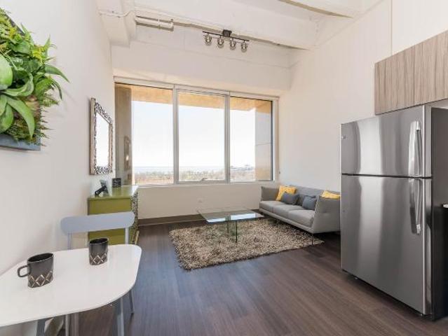 1 Br, 1 bath, Condo 829 South Wabash Avenue