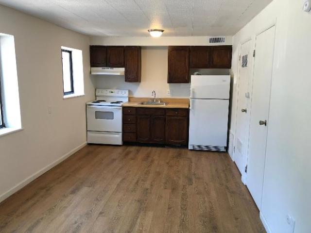 1 Br, 1 bath, Condo 90 Vilsack St
