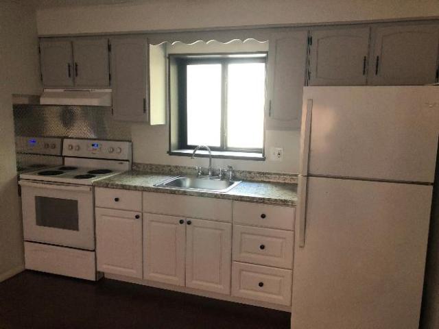 1 Br, 1 bath, Condo 90 Vilsack St