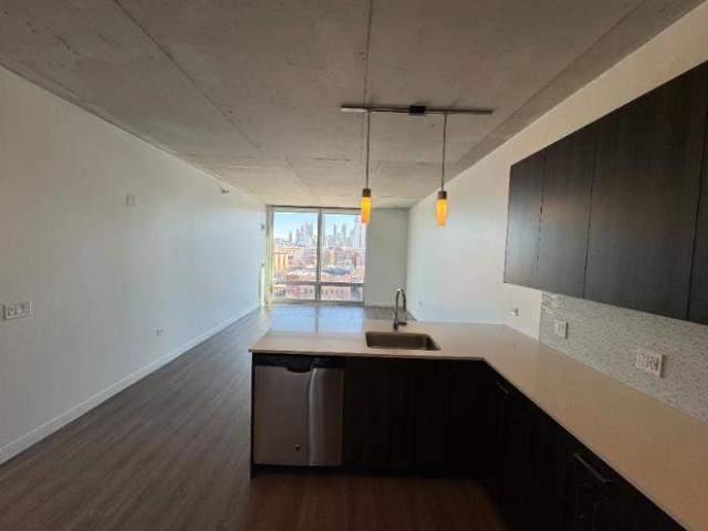 1 Br, 1 bath, Condo 1001 W Chicago Ave
