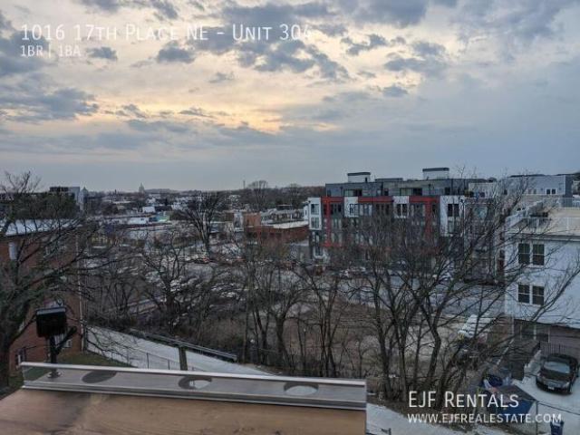 1 Br, 1 bath, Condo 1016 17th Place NE