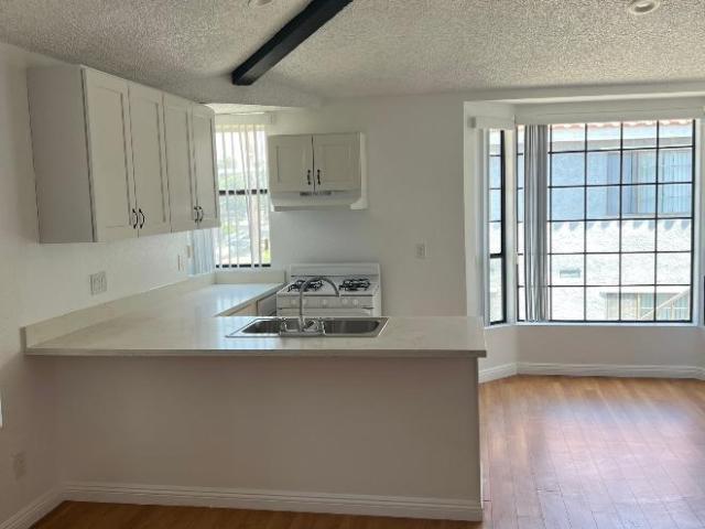 1 Br, 1 bath, Condo 10234 Tujunga Canyon Blvd