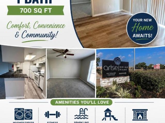 1 Br, 1 bath, Condo 10410 Old Bammel N