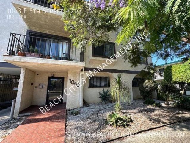 1 Br, 1 bath, Condo 1043 E 5th Street
