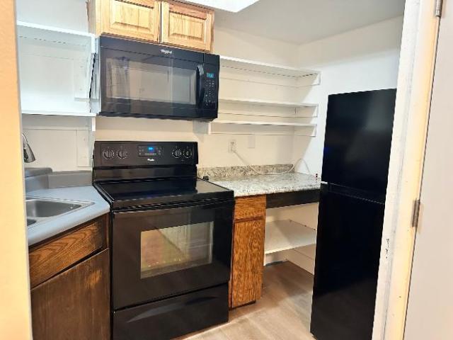 1 Br, 1 bath, Condo 1078 E White Mountain Blvd