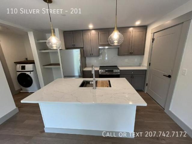 1 Br, 1 bath, Condo 110 Silver Street