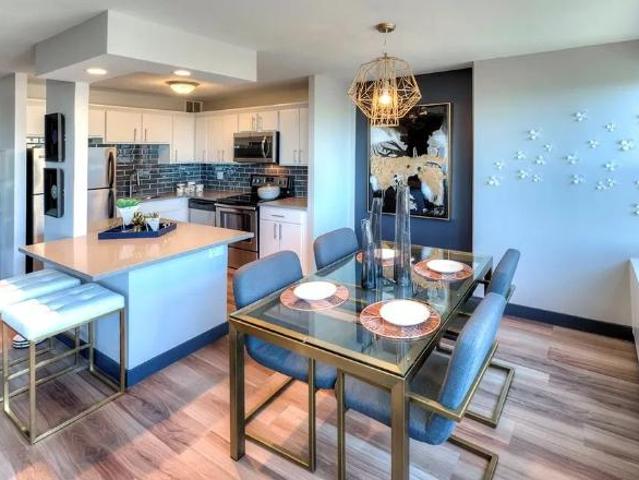 1 Br, 1 bath, Condo 1130 South Michigan Avenue