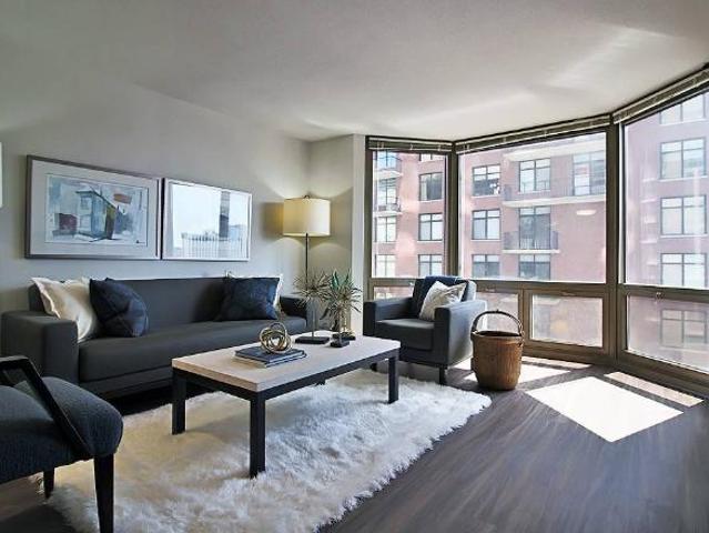 1 Br, 1 bath, Condo 1150 North Dearborn Street