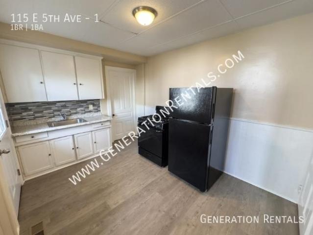 1 Br, 1 bath, Condo 115 E 5th Ave