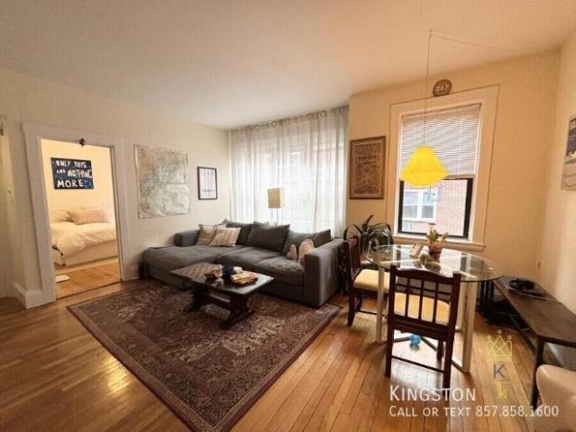 1 Br, 1 bath, Condo 122 Babcock St