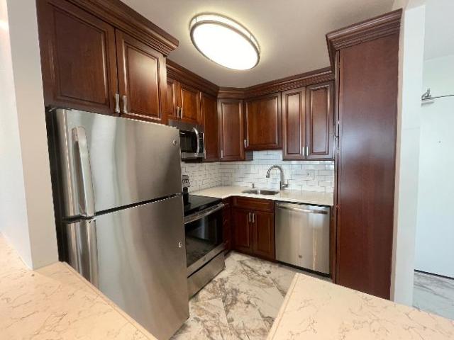 1 Br, 1 bath, Condo 1255 N Sandburg Terr