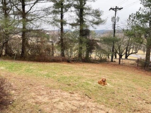 1 Br, 1 bath, Condo 126 Blakemore Mill Rd
