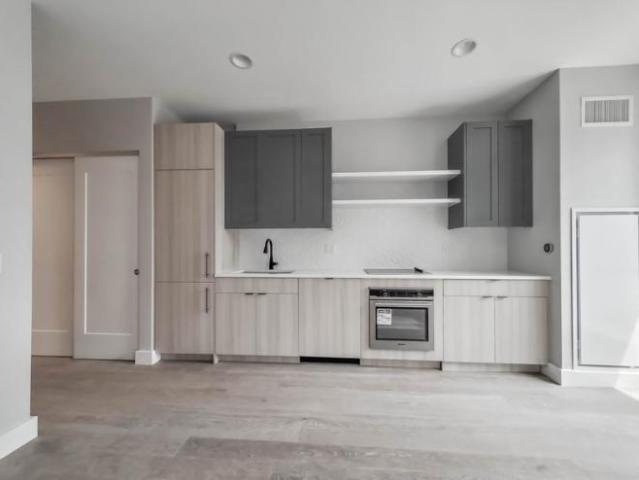 1 Br, 1 bath, Condo 1300 N Clark