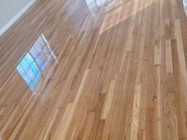 1 Br, 1 bath, Condo 1380 Church Street