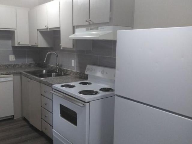 1 Br, 1 bath, Condo 1429 Potter Drive