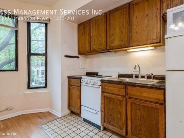 1 Br, 1 bath, Condo 1430 N Dearborn Pkwy